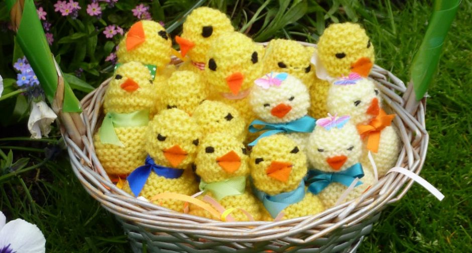 Francis House launch 'Easter Chick Appeal' - One Stockport