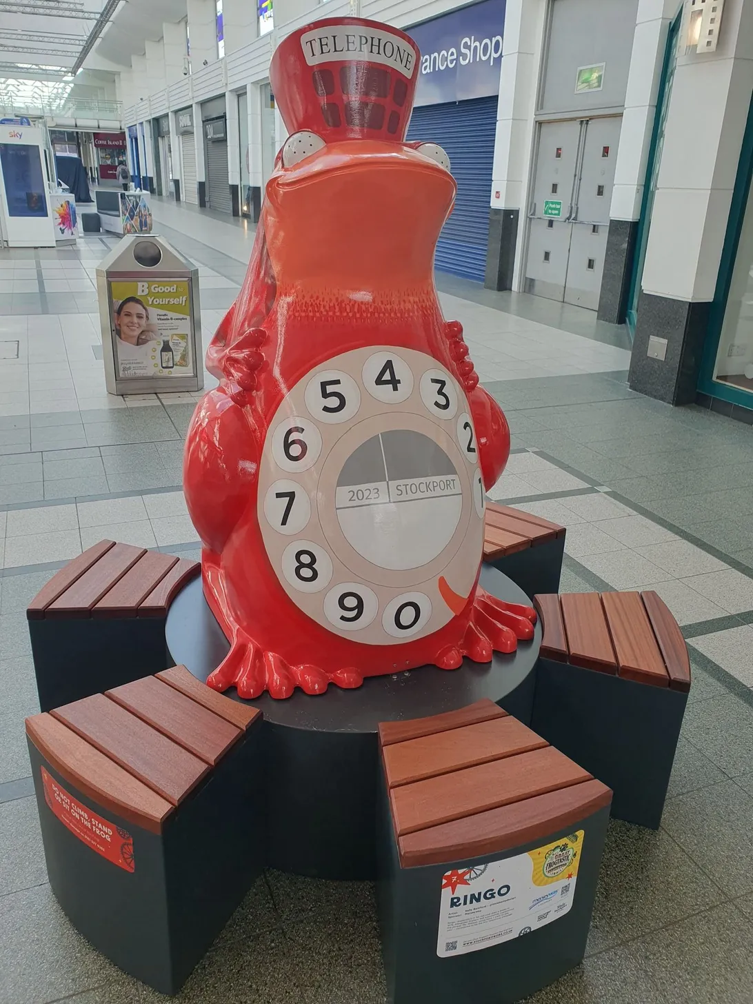 Merseyway sponsored Frog goes under the hammer for Diabetes UK in ...