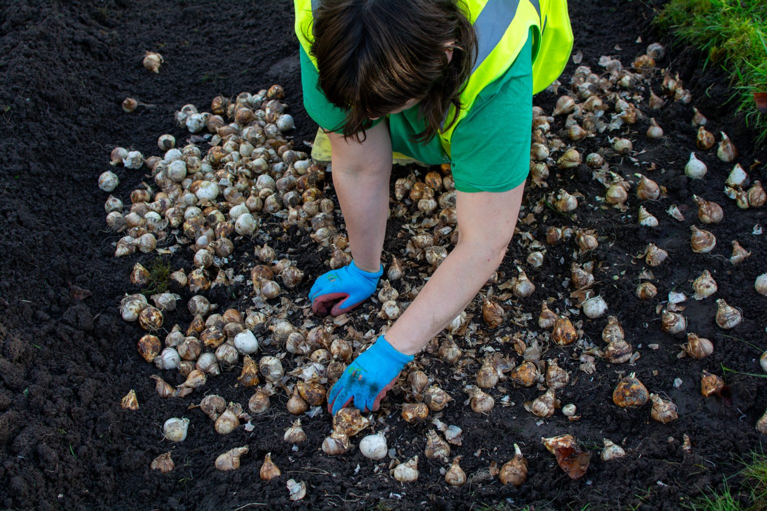 Volunteers Spring into action for planting initiative - One Stockport